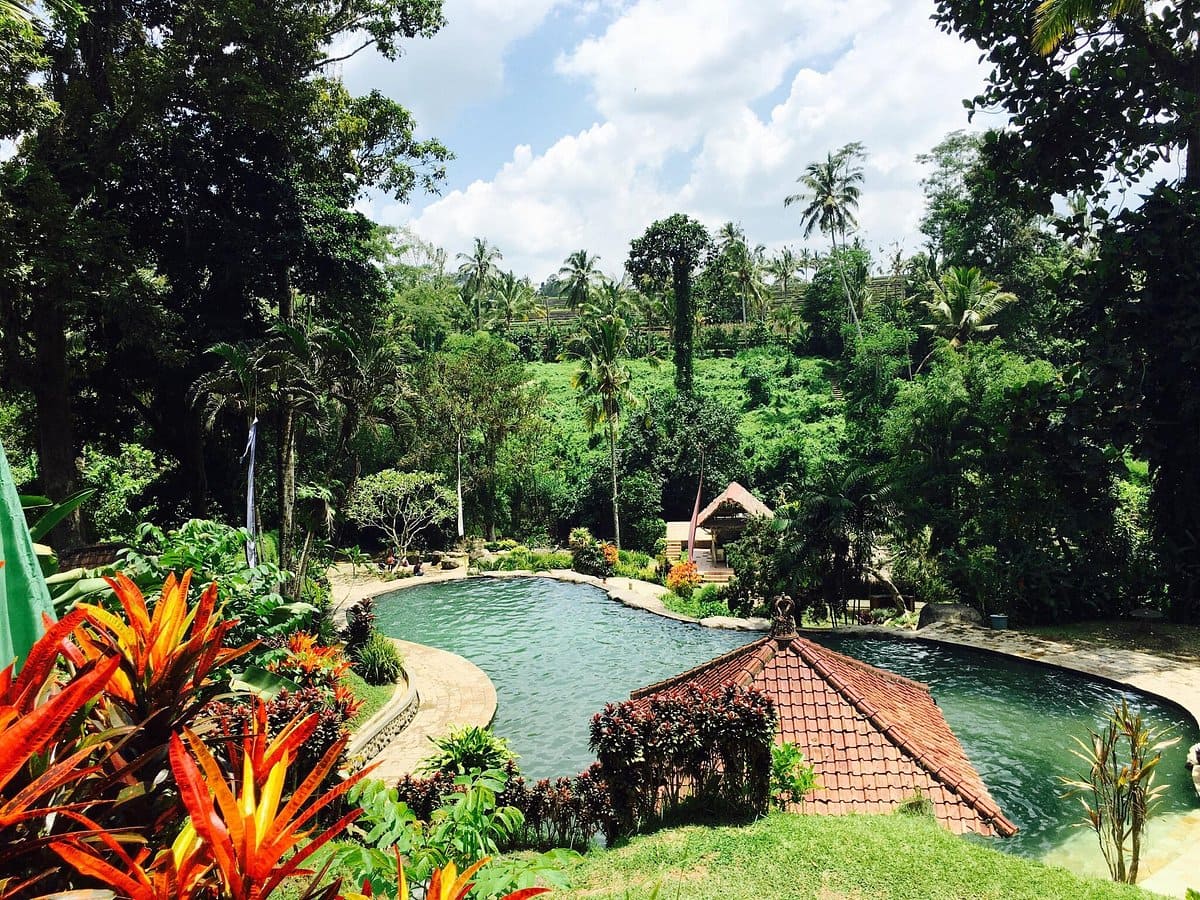 Healing Waters: 5 Must-Visit Hot Springs in Bali